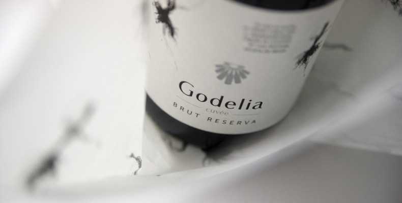 Bodega Y Viñedos Godelia, Una Bodega En Pleno Camino De Santiago ...